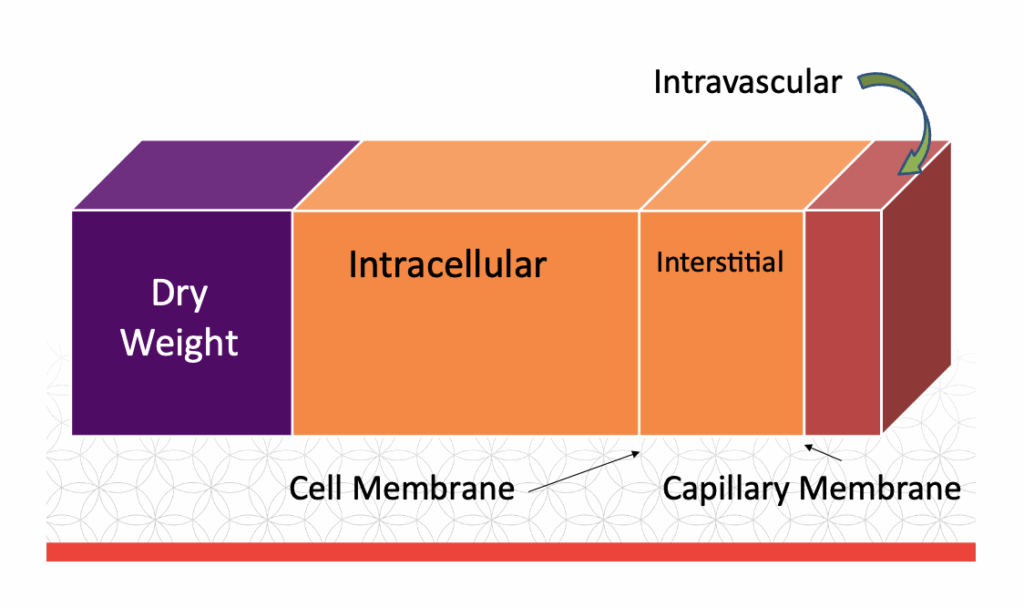Understanding the fluid compartment model can help trauma nurses ...